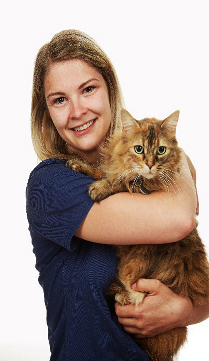 Animal Dental Care - Dr. Ian J. Haws | Board Certified Veterinary Dentist